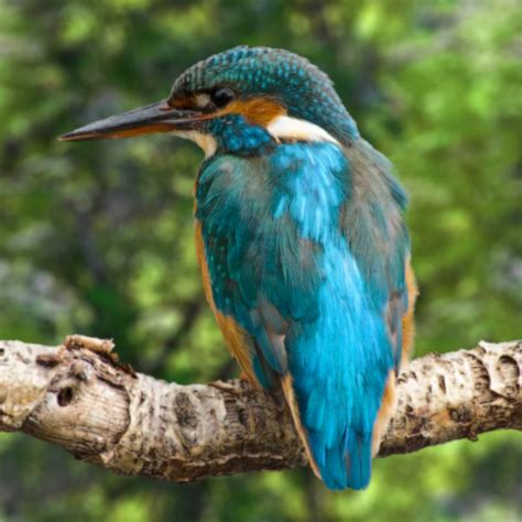 Ceramic Glaze Effect Diffuse Map