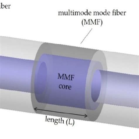 Schematic Of SMF MMF SMF Fiber Structure Heterocore Design Roriz Et Download Scientific