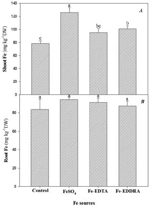 Effects Of Foliar Application Of Various Fe Sources On The A Shoot And