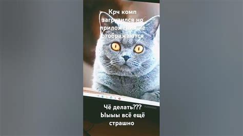 Винда 10 драйвер да хрен вам прошлое видео посмотри Youtube