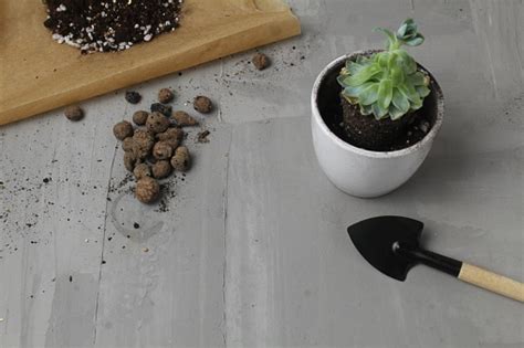 집에서 식물을 이식 화분에 식물 냄비 주걱 모래 지구 돌 텍스트 복사 공간을 위한 공간이 있는 회색 배경에 집의 아파트 개선 0명에 대한 스톡 사진 및 기타 이미지 Istock