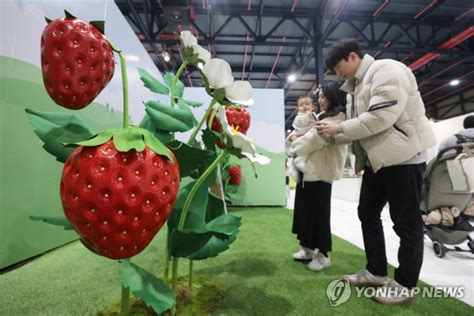 딸기와 함께 연합뉴스