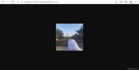 Spring Boot项目整合obs服务器 华为云华为云obsclient构建参数 Csdn博客
