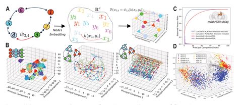 M1 2 Internship Discovering Structure In Connectomes Using Latent Space Kernel Embedding