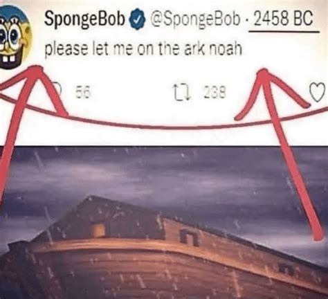Bob Lore R Spongebob