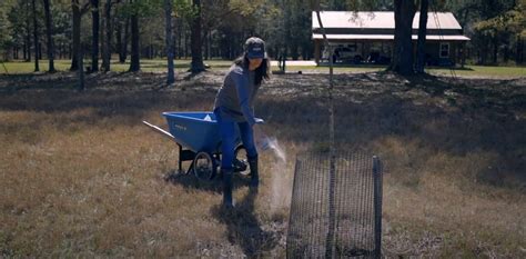 Spreading Fertilizer On Pecan Trees Bag A Nut