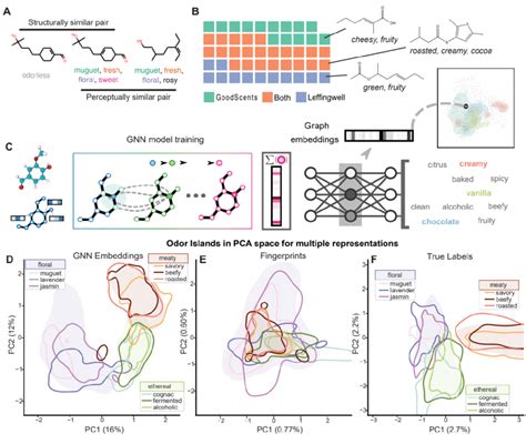 Pom Preserves The Structure Of Odor Perceptual Space A Example