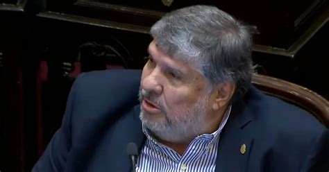 La Irónica Frase De José Mayans Contra Javier Milei No La Entendió O Le Contaron Mal La