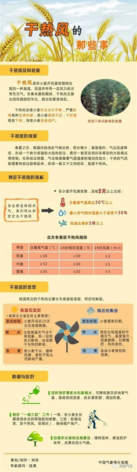 提前做好防御措施！浚县发布冬小麦干热风灾害风险预警