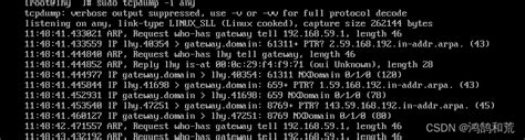 Tcpdump语法及过滤参数详解：linux网络数据分析工具 Csdn博客