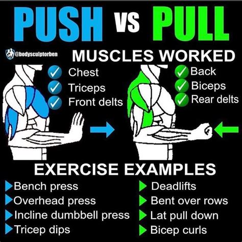 Difference Between Push Pull Workout At Carroll Zabala Blog