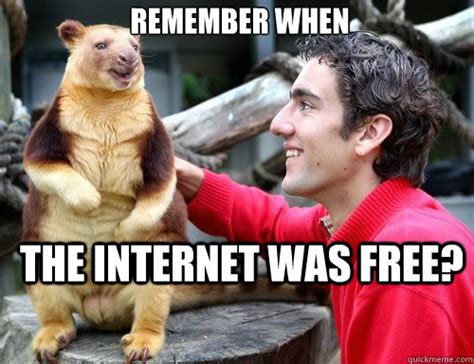Remembering Tree Kangaroo Memes Quickmeme