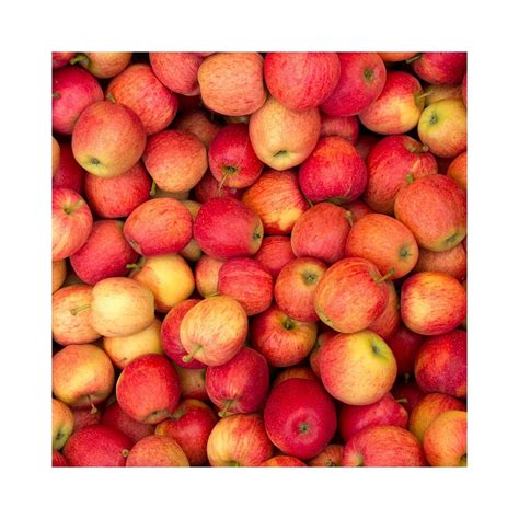 Pomme Royal Gala