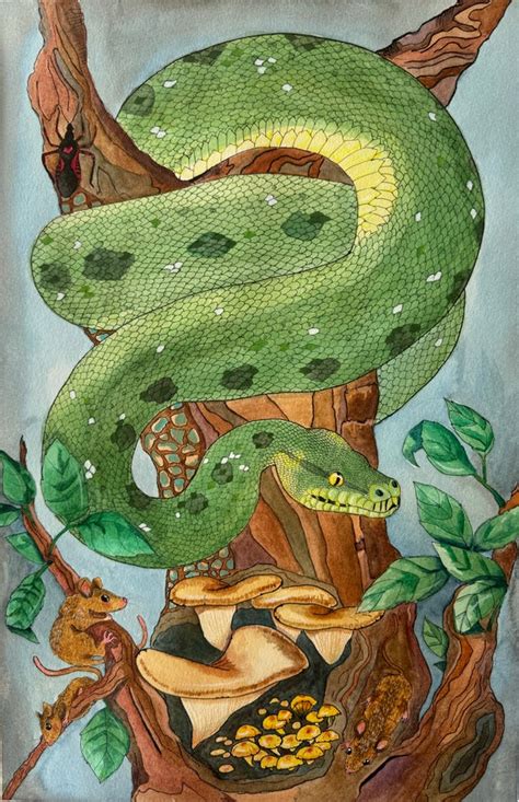 How To Draw A Tree Python How To Draw A Tree Python