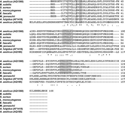 multiple sequence alignment of the amino acid sequences of the glycerol