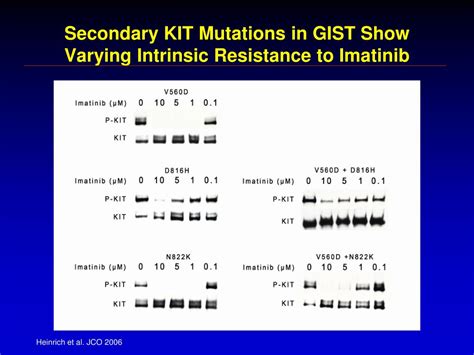 Ppt Resistance To Tk Inhibitors Kit And Pdgfra Powerpoint Presentation Id3645412