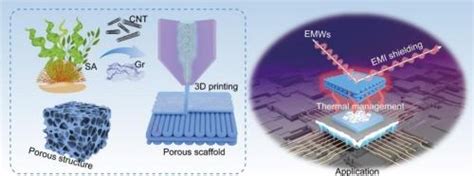 与 Ca2 交联的 3d 打印海藻酸钠 碳纳米管 石墨烯多孔支架，用于高性能电磁屏蔽和焦耳热 Carbohydrate Polymers