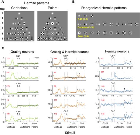 Hermite Patterns And Example Neurons A Hermite Cartesian Patterns And