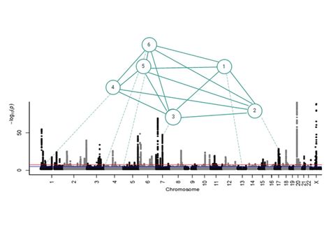 Combinatorial Analytics Precisionlife