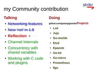 Reflection In Go PPT