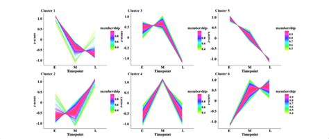 Clustered Gene Expression Profiles In Developing Seeds The Clusters Download Scientific