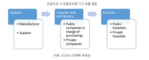 모잠비크 정형외과용 기기 시장 성장세