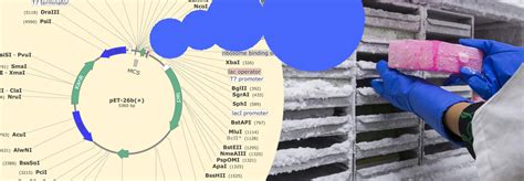 Plasmid Management Epoch Life Science