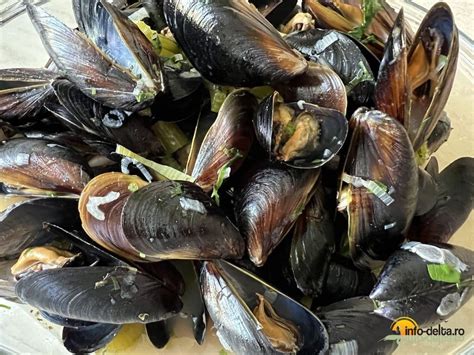 Midii Scoici Vii In Aburi De Bere Info Deltaro