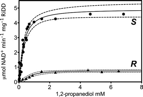 Substrate Saturation Plot Showing The Specific Activity Calculated