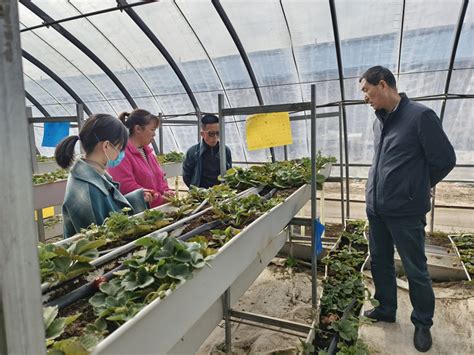 三抓三促在行动，林果花卉研究所科技人员在永靖县开展“三区”科技培训 甘肃省农业科学院 林果花卉研究所