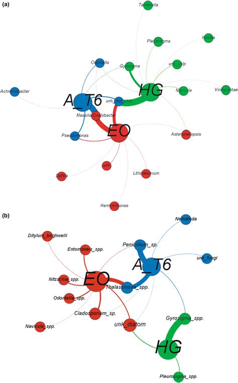 Microbiome Network Analysis Of A 16s Rdna And B 18s Rdna Sanger