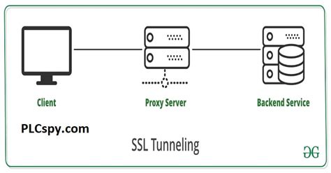 سرور خصوصی Tls چیست ؟ نحوه استفاده از Tls برای اتصال جهانی Vpn 🟢
