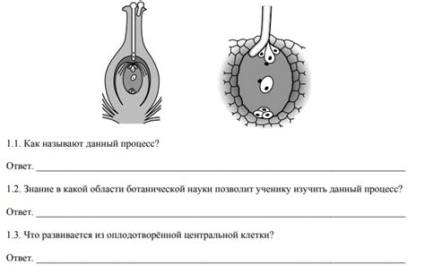 ПОМОГИТЕ ПО ВПР БИОЛОГИЯ 6 КЛАСС Nikolai Zabashta 8 Ответы Mail