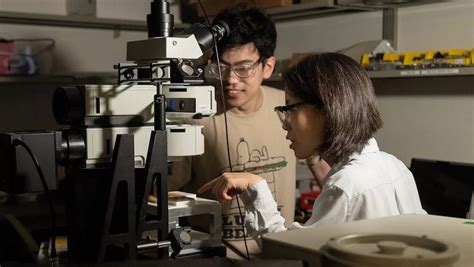 Light Based Data Made Clearer With New Machine Learning Method Statnano