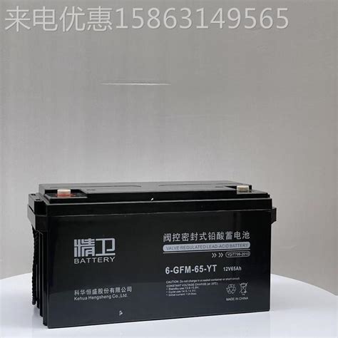 科华精卫蓄电池 Gfm 6蓄5 Y精卫精t卫ups电池12v65ah铅酸免维护电虎窝淘