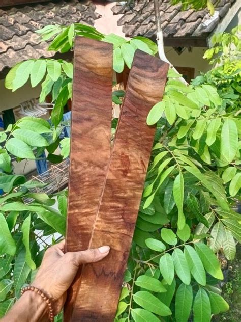 Kayu Sonokeling Fullgalih 5071 Full Hitam Merah Lazada Indonesia