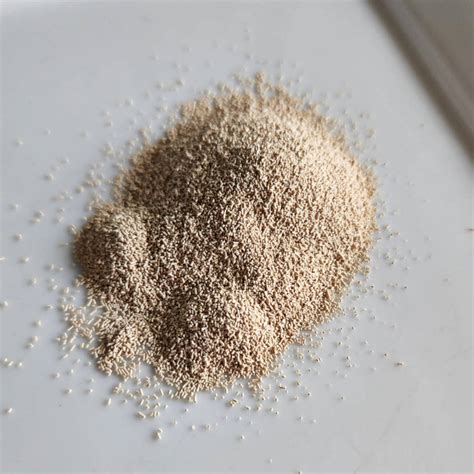 10 Different Types Of Yeast Uses Defined Butter N Thyme