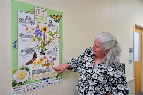 Cross Pollination Art And Design Professors Poster Connects Career Dots Umass Lowell