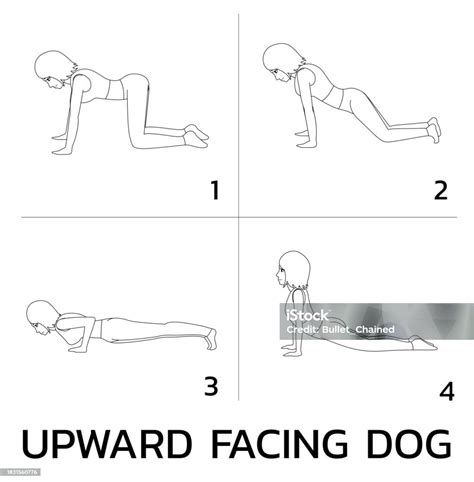 Upward Facing Dog Pose Yoga Manga Tutorial How Cartoon Vector