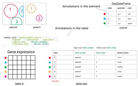 Working With Annotations In Spatialdata — Spatialdata Notebooks