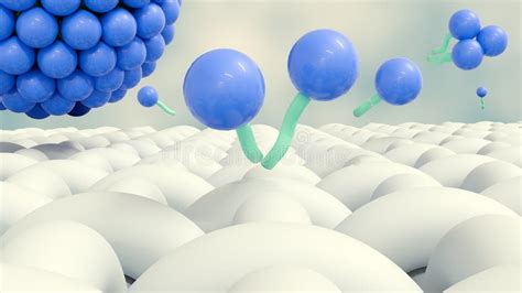 Micelles Stock Illustrations 56 Micelles Stock Illustrations Vectors