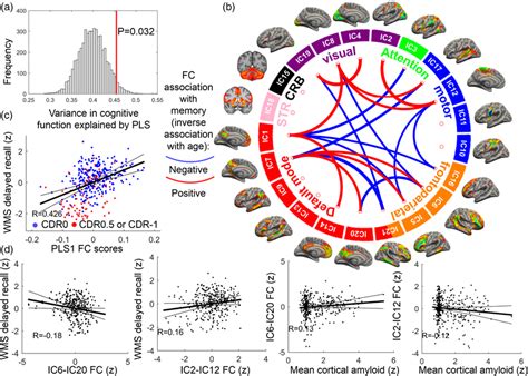 Braincognition Relationship Between Partial Functional Connectivity