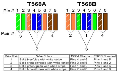 Planning And Cabling The Network Ccna Blog
