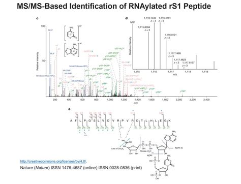 Matthew Lauber On Linkedin Lcms Proteomics Rna