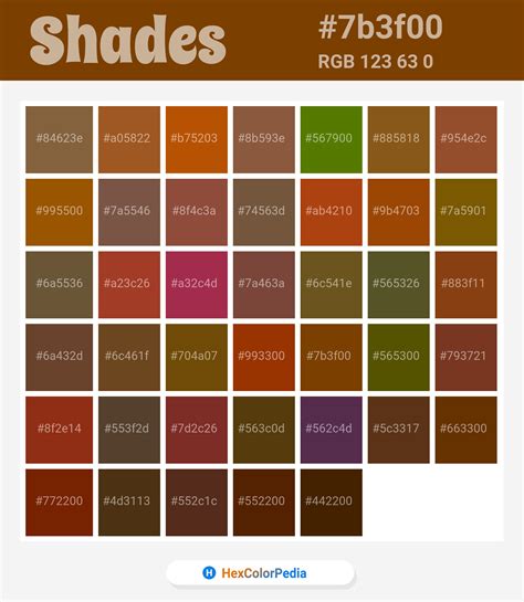 What Is The Color Of Hazelnut Chocolate Hexcolorpedia