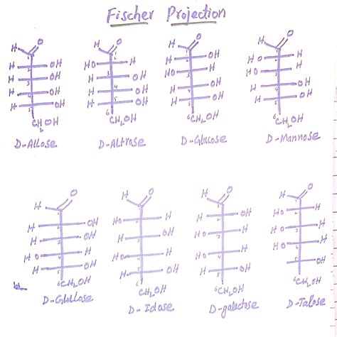 [solved] Chemistry 5 4 Pts Draw A Fischer Projection Of A D Aldohexose Course Hero