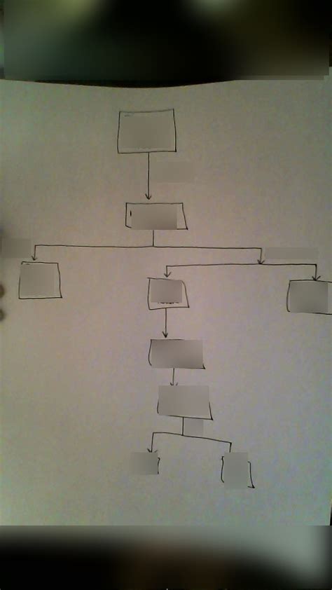 Diagram Of Proximate Analysis Quizlet