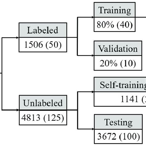Dataset Allocation Diagram Dataset Allocation Diagram Download Scientific Diagram