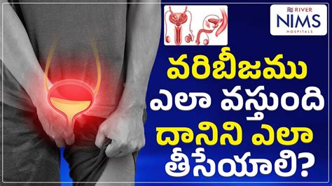 Understanding Hydrocele Symptoms Causes And Treatment River Nims