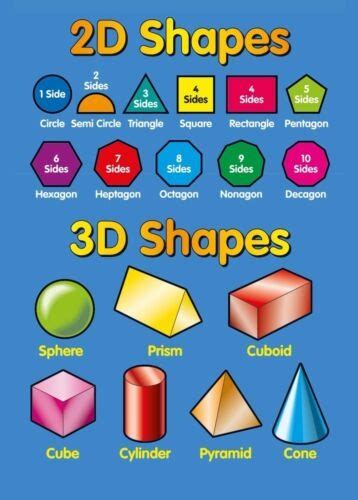 Diagram Of Shape Vocabulary Quizlet